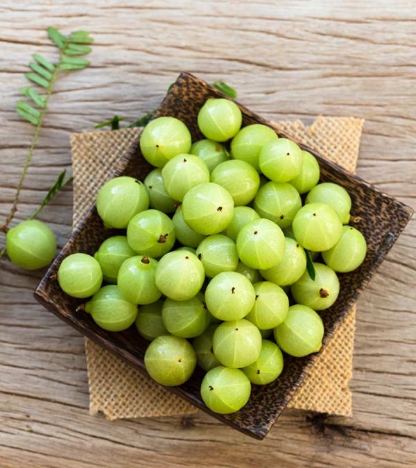 Story of the Magical Amla – A superfood that has been acting as ...