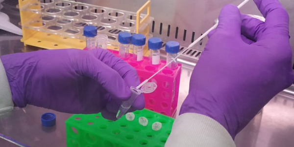 ICMR approves dry swab RT-PCR method for Covid detection - Women ...