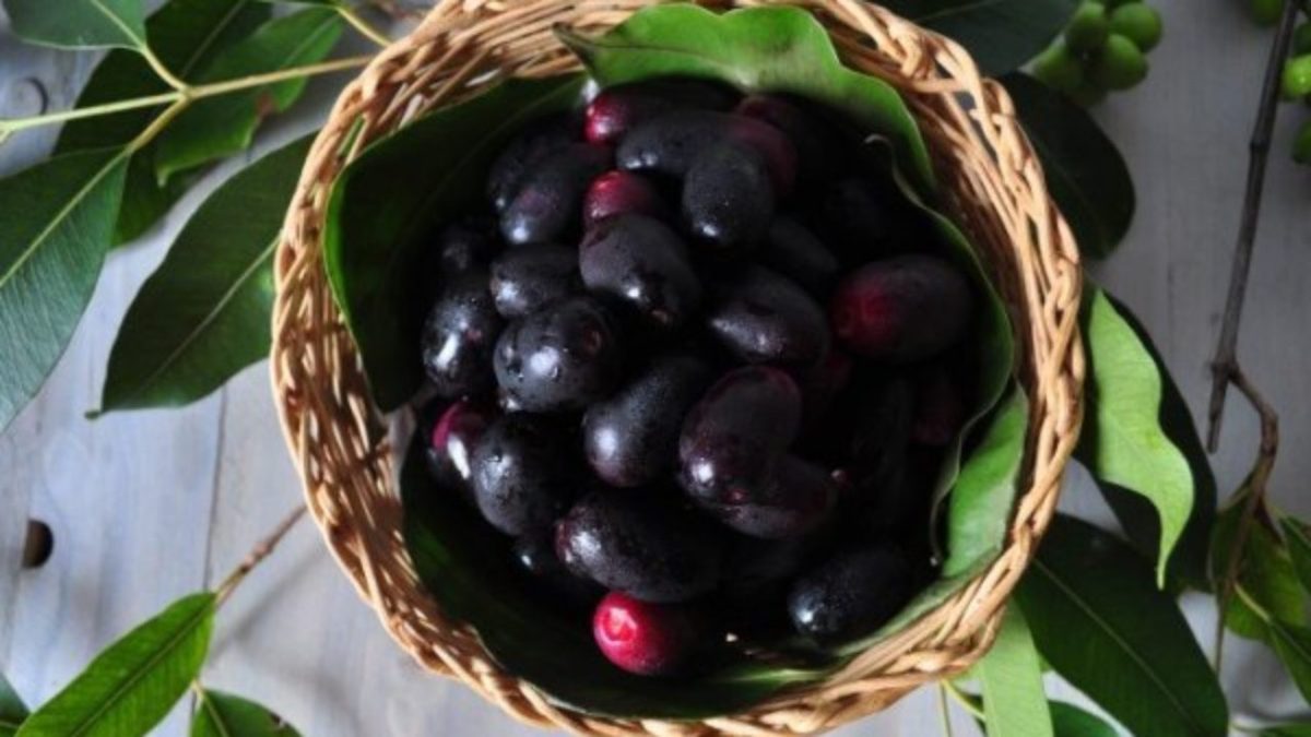 Women Fitness| A Wholesome Guide to Women Health & Wellness