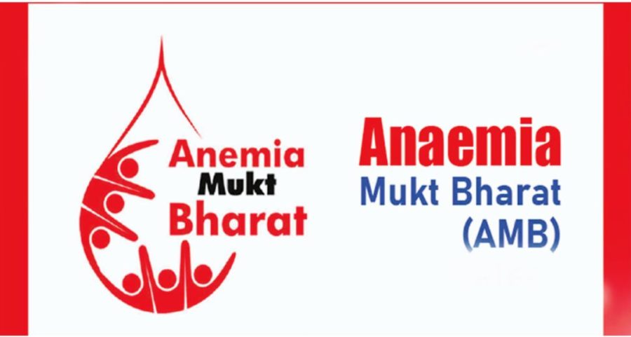Towards ‘Anaemia Mukt Bharat’ (Anaemia Free India)” - Women Fitness Org