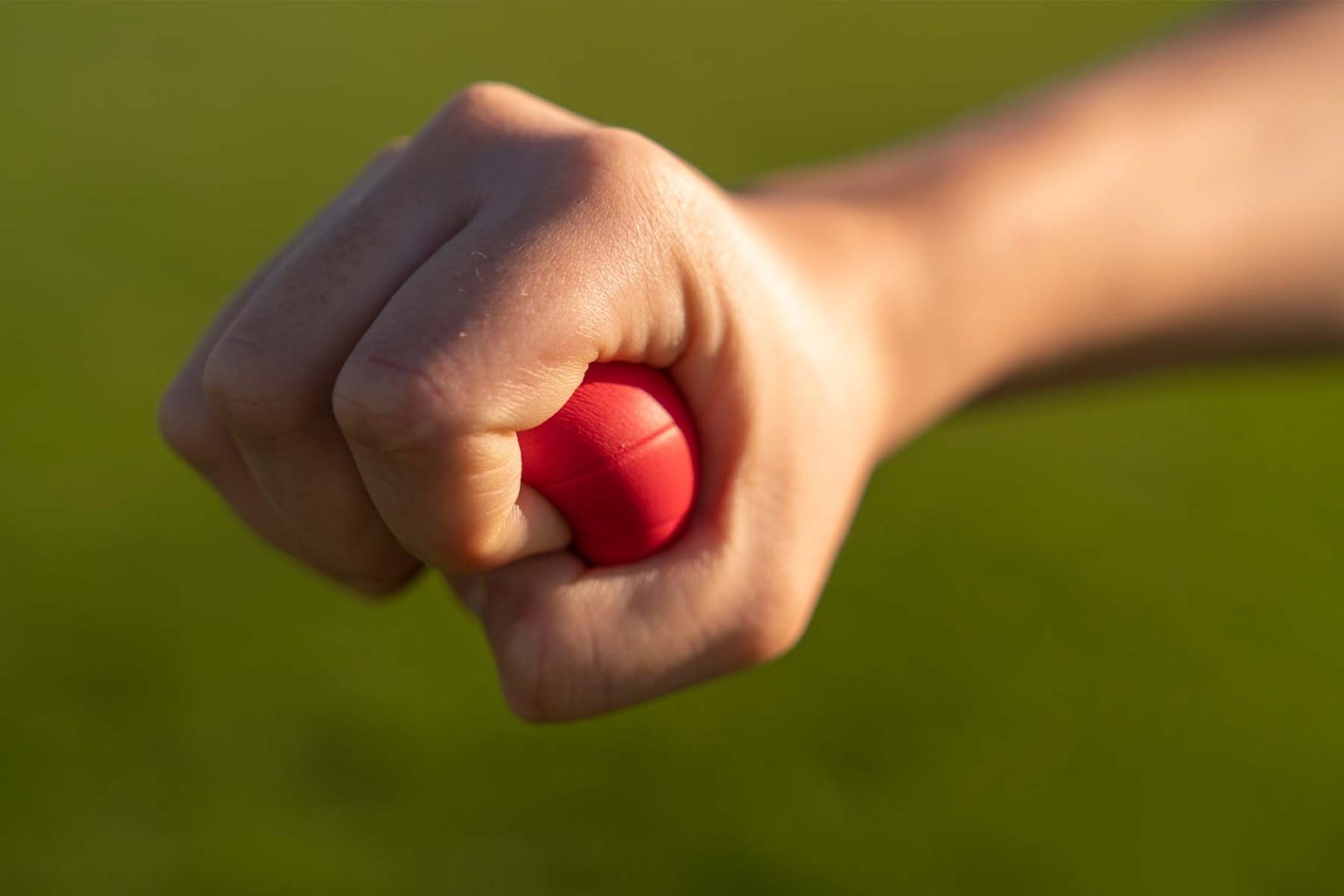 6 Wrist Mobility Exercises for Pain-Free Hands - Women Fitness Org